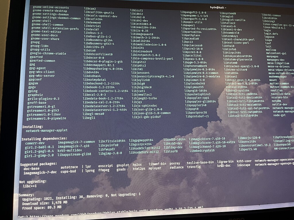 What Kali (Debian-Testing + Kali oversight) rolling updates look like ...